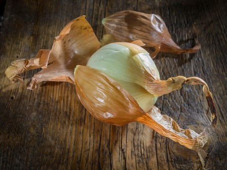 500 Bulb vegetable Stock Pictures, Editorial Images and Stock Photos ...