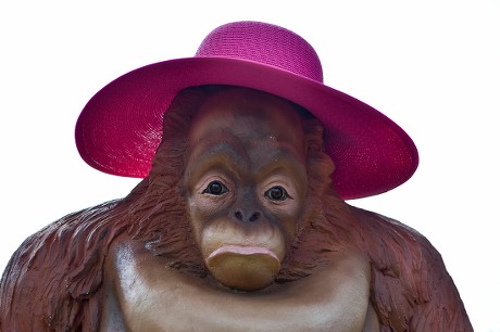 89 Ape like Stock Pictures, Editorial Images and Stock Photos ...