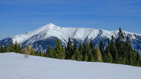 Winter Landscape Schneeberg Snowcovered Summit View Editorial Stock ...