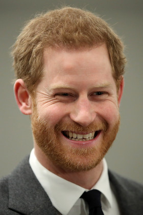 prince harry portraits Stock Photos (Exclusive) | Shutterstock