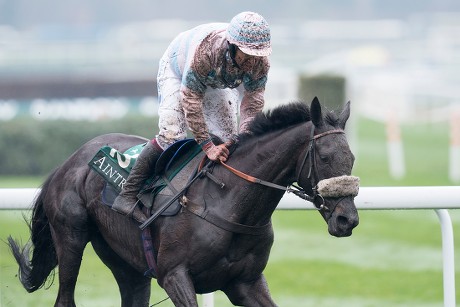 Jester Jet Trained By Tom Lacey Editorial Stock Photo - Stock Image ...