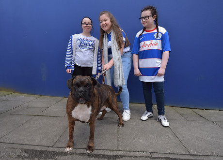 Qpr Fans Dog Outside Loftus Road Editorial Stock Photo - Stock Image ...
