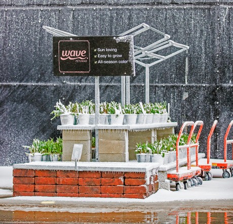 85 Ice depot Stock Pictures, Editorial Images and Stock Photos ...