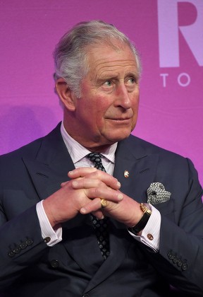 Prince Charles Editorial Stock Photo - Stock Image | Shutterstock