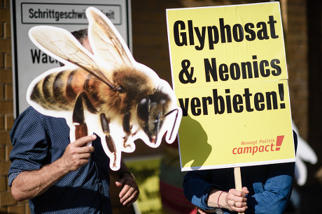 Activists Demonstrate Cardboards Reading Prohibit Glyphosate Editorial ...