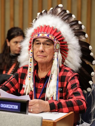 83 Permanent forum on indigenous issues Stock Pictures, Editorial ...