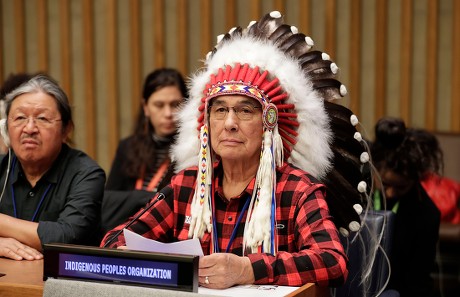 83 Permanent forum on indigenous issues Stock Pictures, Editorial ...