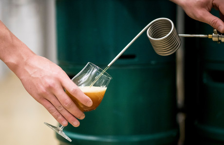 Brewer Maltster Philipp Draws Beer Tank Editorial Stock Photo - Stock ...