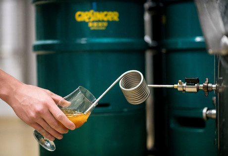 Brewer Maltster Philipp Draws Beer Tank Editorial Stock Photo - Stock ...