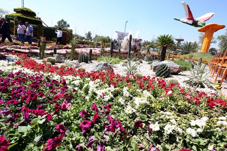 General View 10th Baghdad International Flower Editorial Stock Photo ...