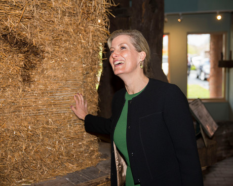 Sophie Countess Wessex Visits Cider Museum Editorial Stock Photo ...
