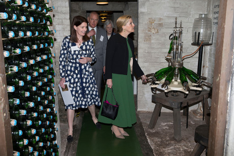 Sophie Countess Wessex Visits Cider Museum Editorial Stock Photo ...