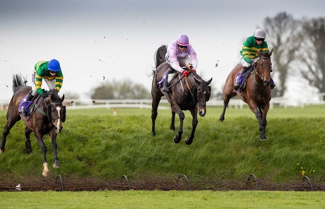 Friends First Cross Country Steeplechase La Editorial Stock Photo ...