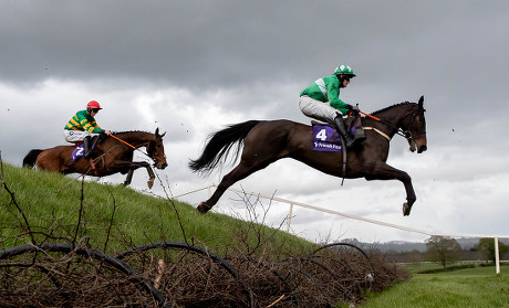 Friends First Cross Country Steeplechase La Editorial Stock Photo ...