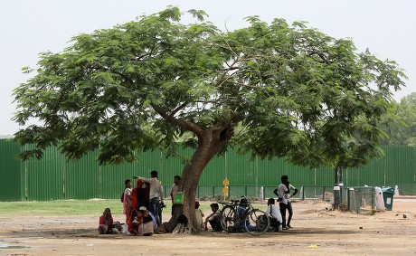 Indian People Sit Under Shade Tree Editorial Stock Photo - Stock Image ...