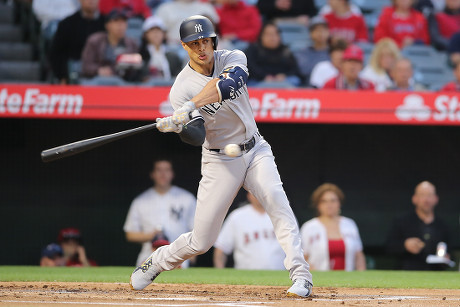 New York Yankees Right Fielder Giancarlo Editorial Stock Photo - Stock ...