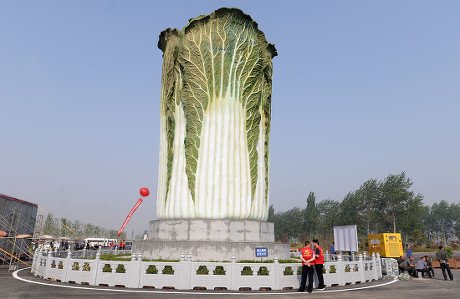 20metertall Sculpture Chinese Cabbage Editorial Stock Photo - Stock ...