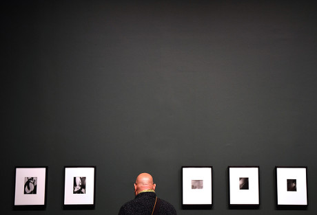 Man Views Artwork During Press Preview Editorial Stock Photo - Stock ...