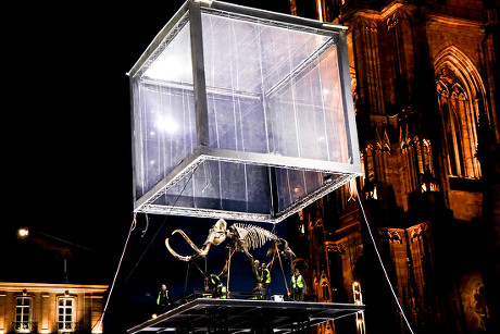 Jacques Rivals Installation Mammuthus Volantes Flying Editorial Stock ...