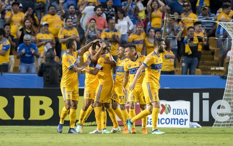 Tigres Uanl Players Celebrate After Scoring Editorial Stock Photo ...