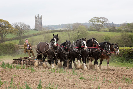 9 Disc harrows Stock Pictures, Editorial Images and Stock Photos ...