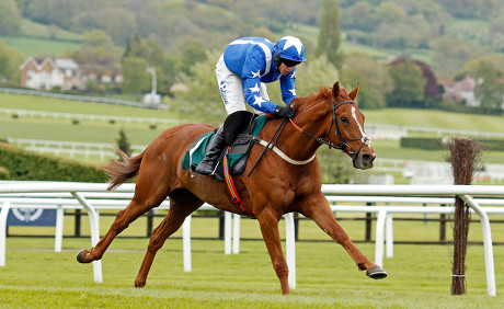 Monsieur Gibraltar Lorcan Williams Wins Brian Editorial Stock Photo ...