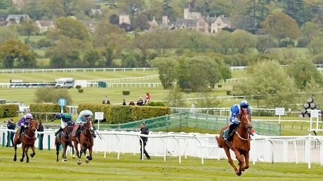 Monsieur Gibraltar Lorcan Williams Wins Brian Editorial Stock Photo ...