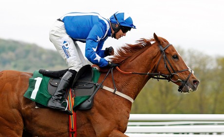 Monsieur Gibraltar Lorcan Williams Wins Brian Editorial Stock Photo ...