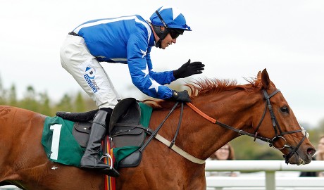 Monsieur Gibraltar Lorcan Williams Wins Brian Editorial Stock Photo ...