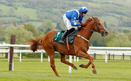 Monsieur Gibraltar Lorcan Williams Wins Brian Editorial Stock Photo ...