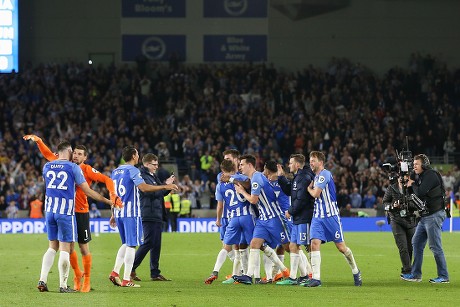 Brighton Players Celebrate Victory Safety Premier Editorial Stock Photo ...