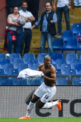Fiorentinas Bryan Dabo Celebrates Scoring During Editorial Stock Photo ...