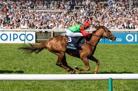 Billesdon Brook Trained By Richard Hanson Editorial Stock Photo - Stock ...