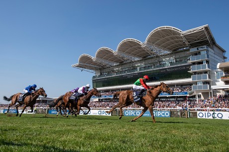 Billesdon Brook Trained By Richard Hanson Editorial Stock Photo - Stock ...