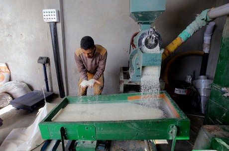 Rice planting in Egypt, Kafr Al-Sheikh - 07 May 2018 Stock Pictures ...