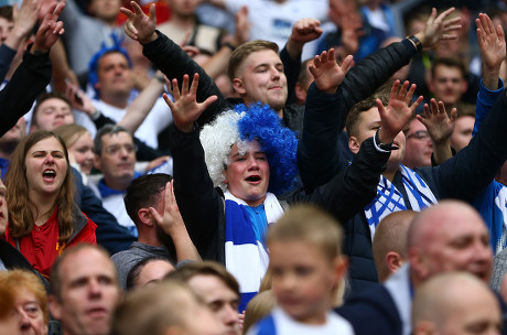Tranmere Fans Celebrate Editorial Stock Photo - Stock Image | Shutterstock