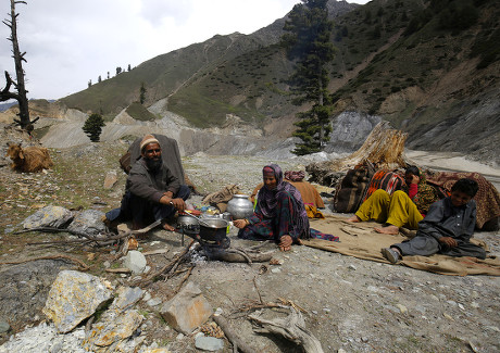 Members Nomadic Bakerwal Community Their Flock Editorial Stock Photo ...