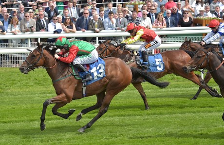 York Races, Horse Racing, York Racecourse, UK - 18 May 2018 Stock ...