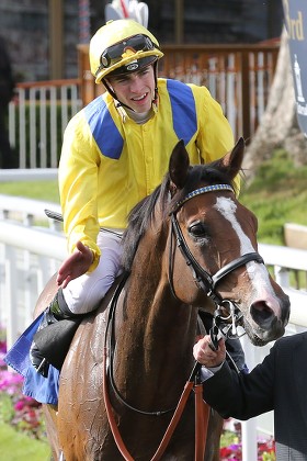 JOCKEY CONNOR BEASLEY PARADE RING BEFORE Editorial Stock Photo - Stock ...