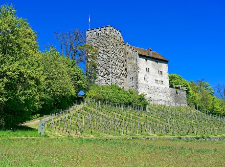 250 Habsburg castle Stock Pictures, Editorial Images and Stock Photos ...