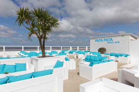 Beach Bar Palm Tree On Belgian Editorial Stock Photo - Stock Image ...