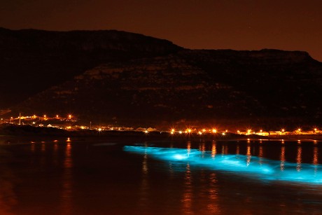 Waves Glow Phosphorescence They Break Bay Editorial Stock Photo - Stock ...