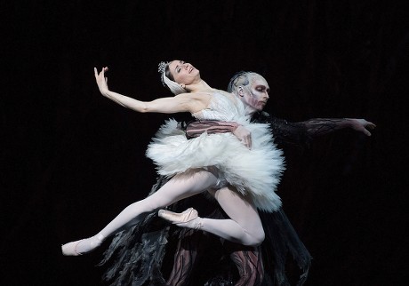 Marianela Nunez Odetteodile Bennet Gartside Von Editorial Stock Photo ...