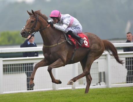 26 Sandown Races, Horse Racing, Sandown Park Racecourse, UK - 24 May ...