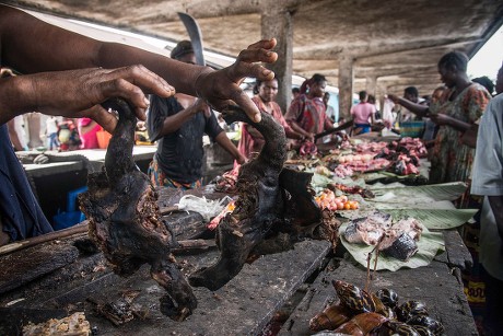 Vendor Displays Smoked Monkey Meat Market Editorial Stock Photo - Stock ...