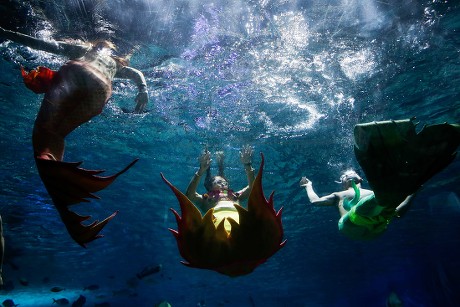 Filipinos Dressed Mermaid Outfits Entertain Visitors Editorial Stock ...
