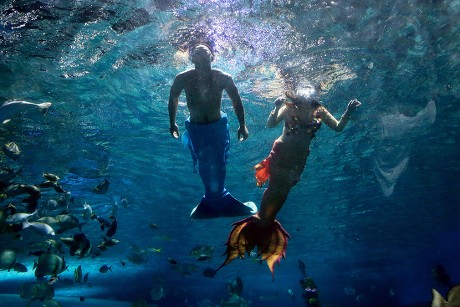 Filipinos Dressed Mermaid Outfits Entertain Visitors Editorial Stock ...