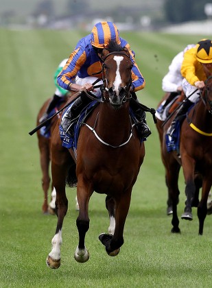 Curragh Racing, Curragh Racecourse, Newbridge, Co. Kildare - 26 May ...