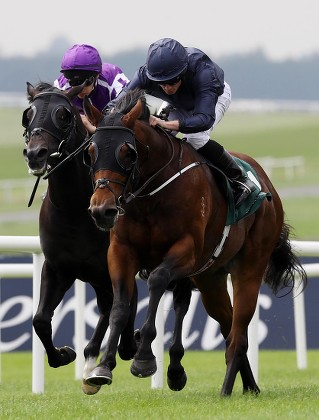 Weatherbys Ireland Greenlands Stakes Ryan Moore Editorial Stock Photo ...