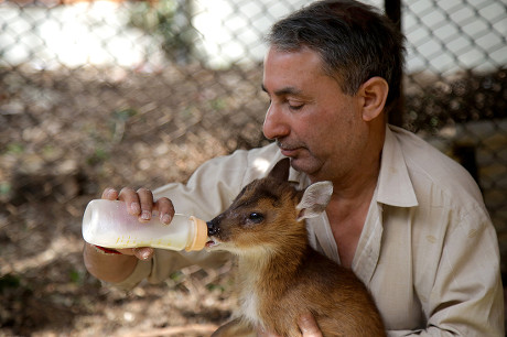 250 Orphan animals Stock Pictures, Editorial Images and Stock Photos ...